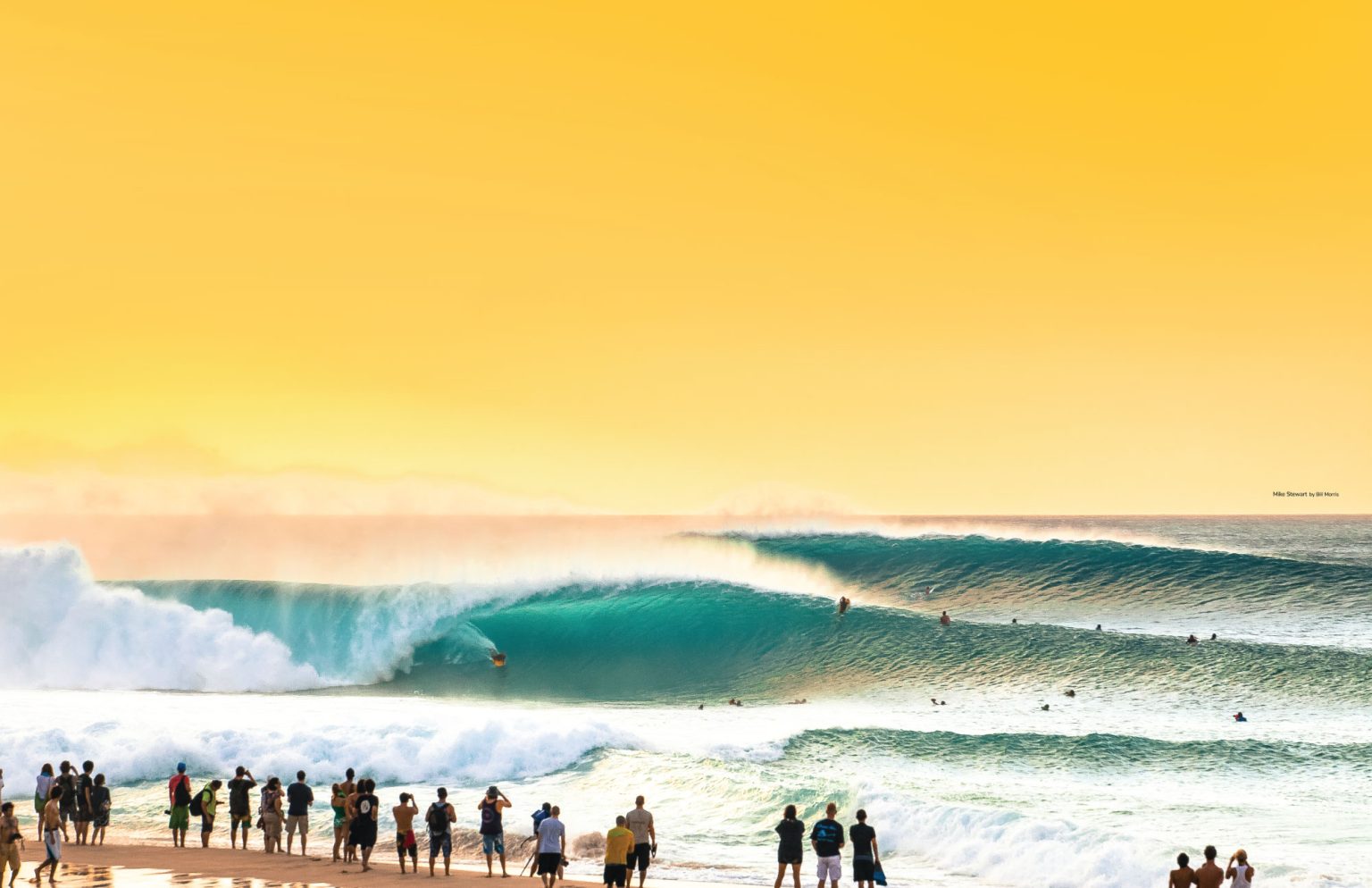 Home Page - Science Bodyboards UK